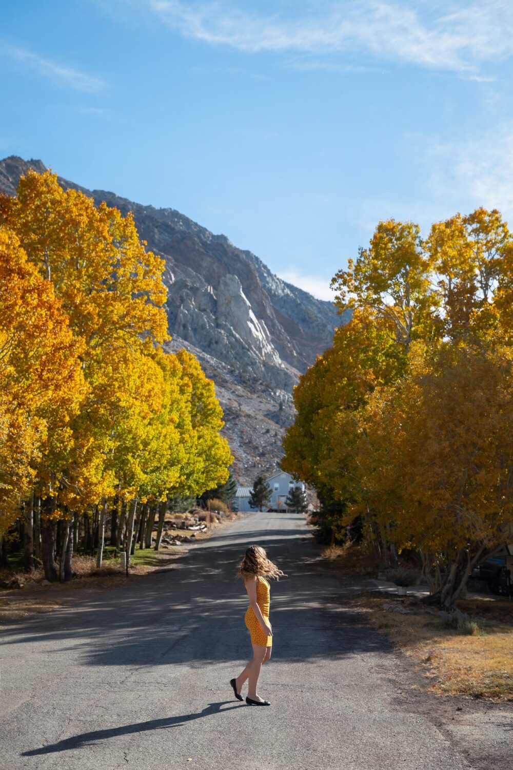 Most beautiful places to see fall colors in California - Asya Olson ...