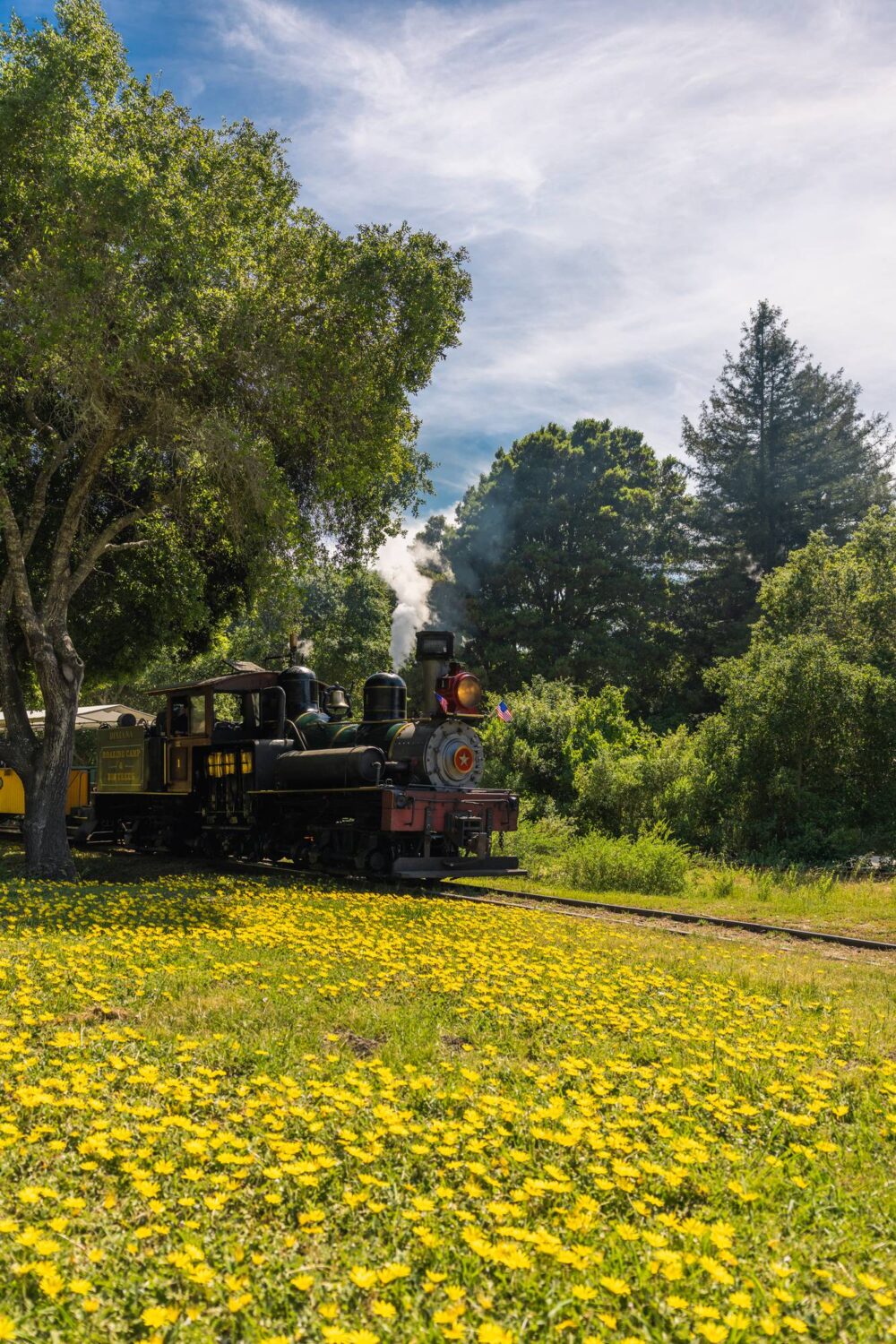 What To Do In Santa Cruz, California - Asya Olson Travel Photography