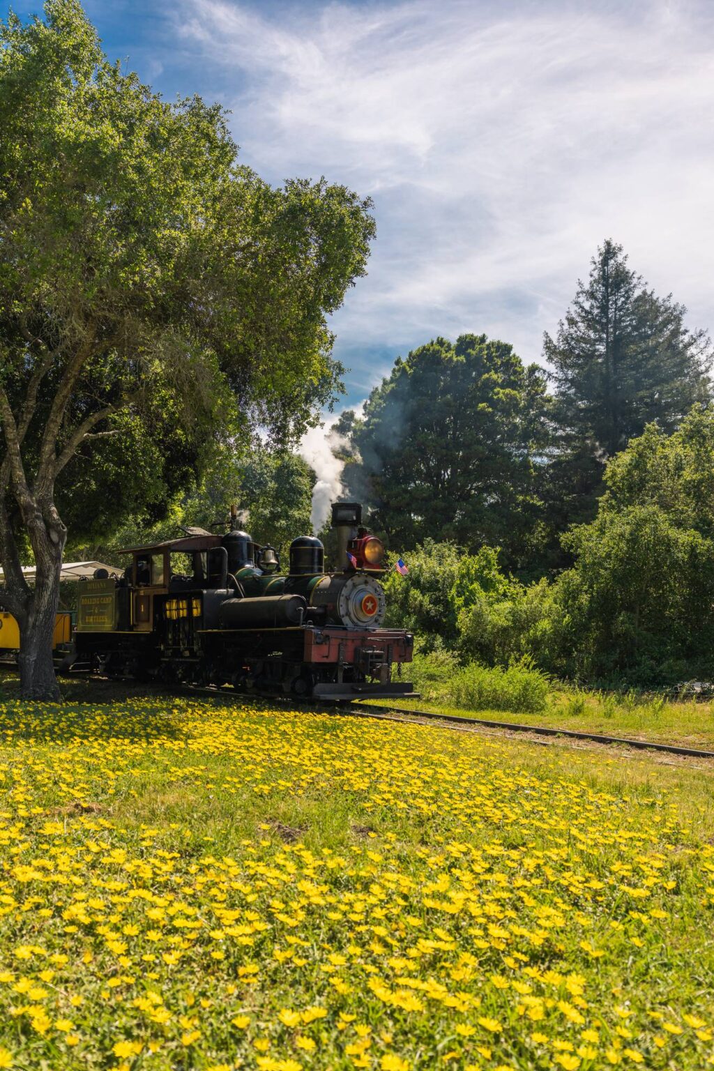 What To Do In Santa Cruz, California - Asya Olson Travel Photography