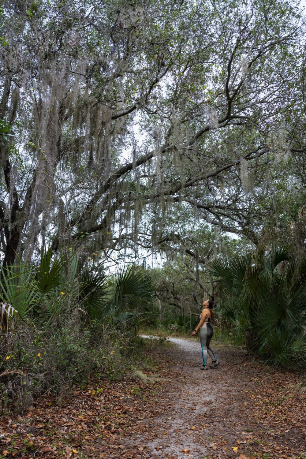 Things to do in Martin County, Florida - Asya Olson Travel Photography