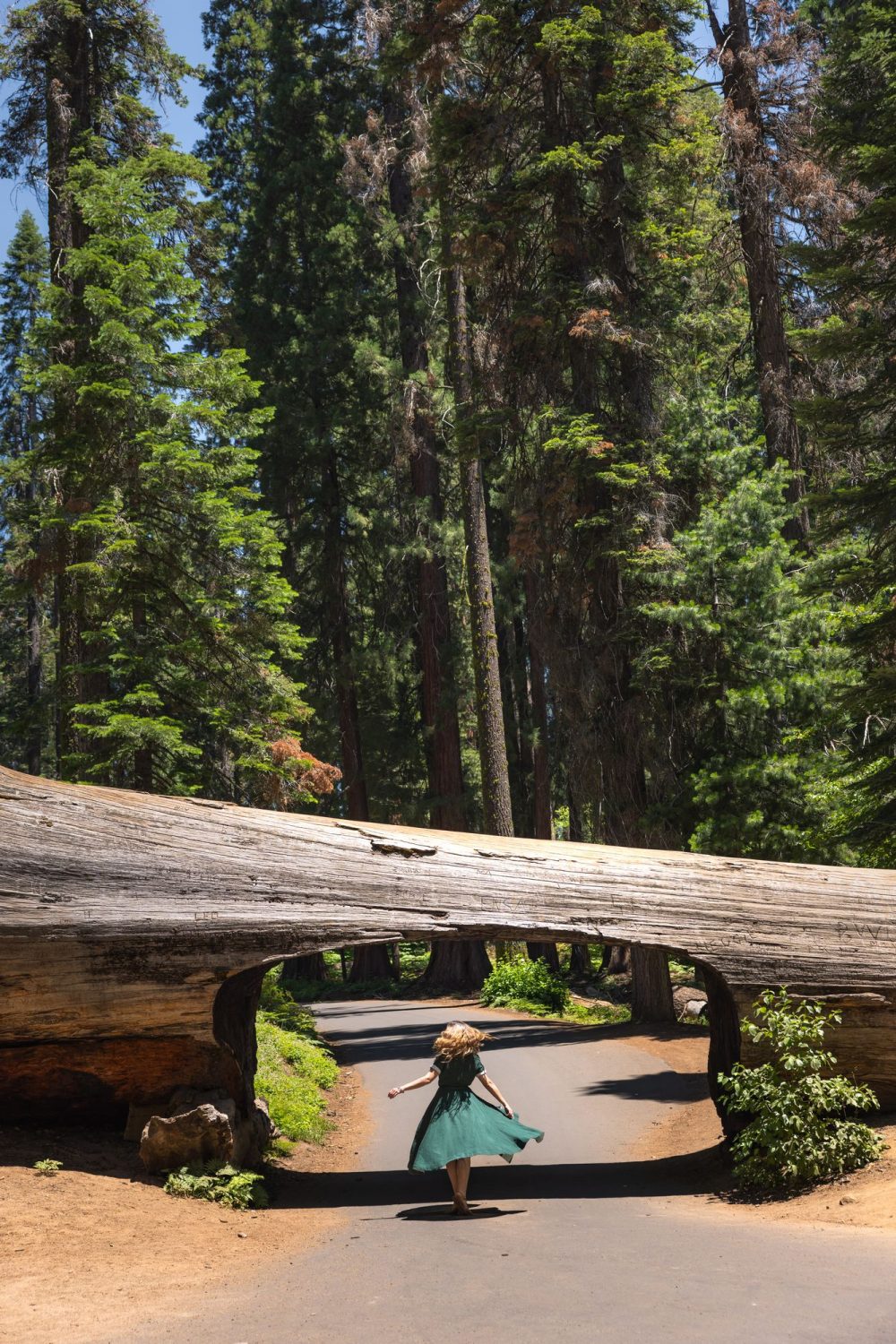 The Best Hiking Trails in Sequoia National Park - Asya Olson Travel ...