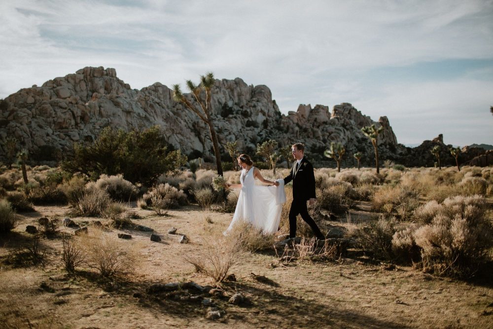 The Best Joshua Tree Photography Spots in 2025 - Asya Olson Travel ...