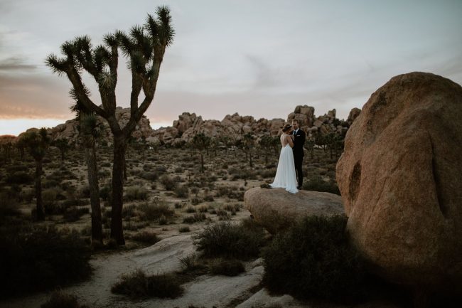 The Best Joshua Tree Photography Spots in 2025 - Asya Olson Travel ...