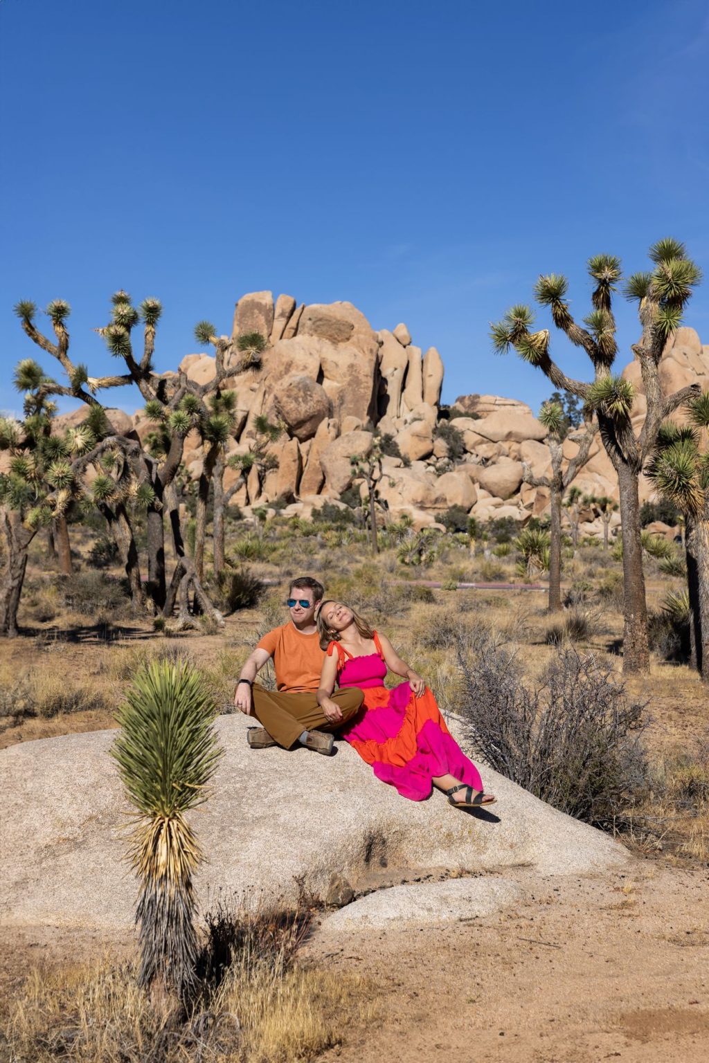 The Best Joshua Tree Photography Spots in 2025 - Asya Olson Travel ...